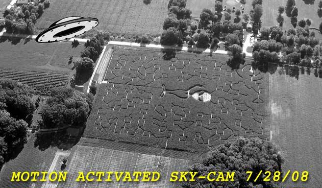 Depner Farms – Little Blue Man of the Thumb